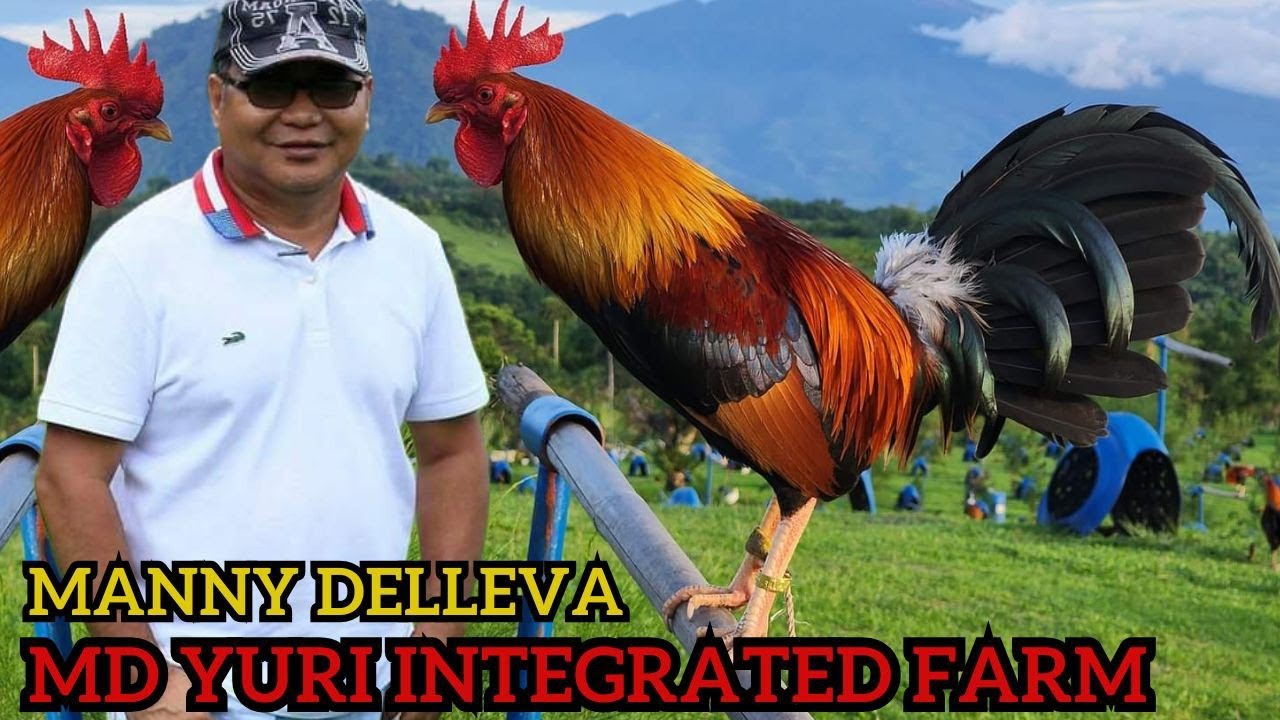 Manny Delleva Big Farm Talisay Philippines - Md Yuri Integrated Farm ...