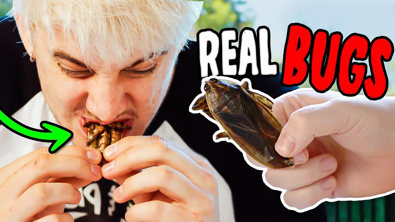 We Ate Bugs Again... - YouTube