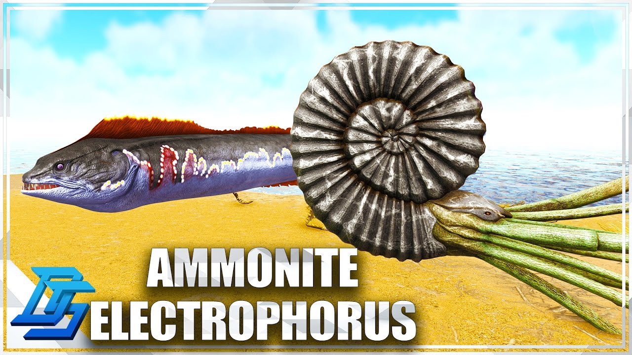 Ammonite, Electrophorus / Eel - Ark Survival Evolved (Update 255) - YouTube