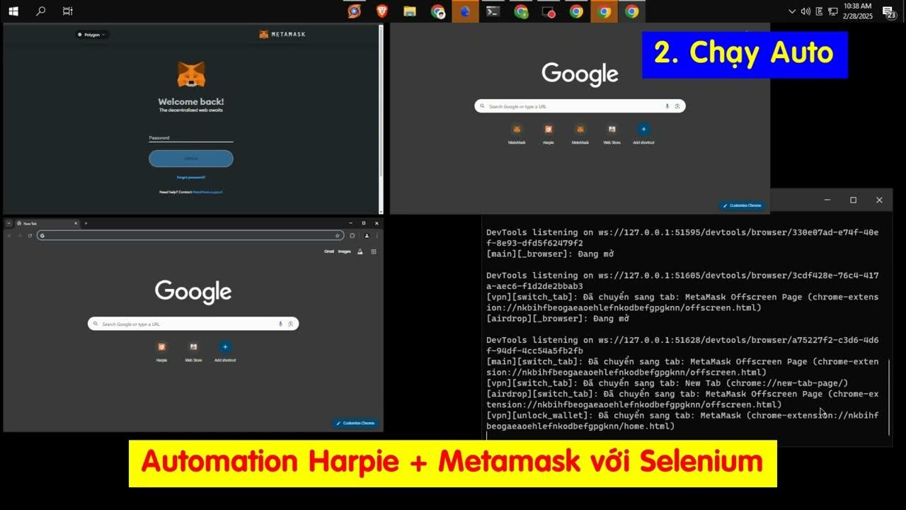 Automation Harpie + Metamask với Selenium - YouTube