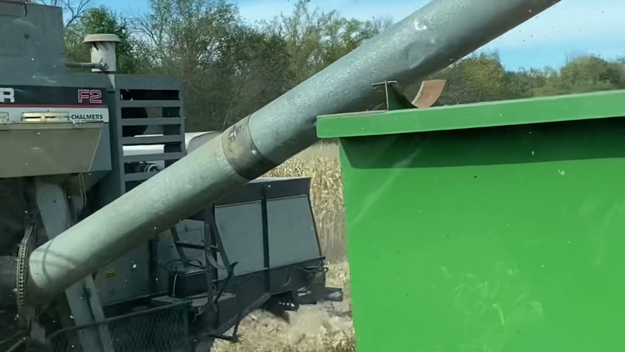 Harvesting corn and soybeans with Gleaner F2 and F combines - YouTube