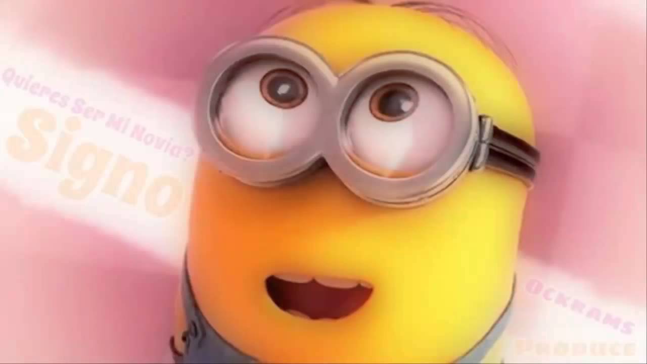 Quieres Ser Mi Novia YouTube quieres-ser-mi-novia-youtube