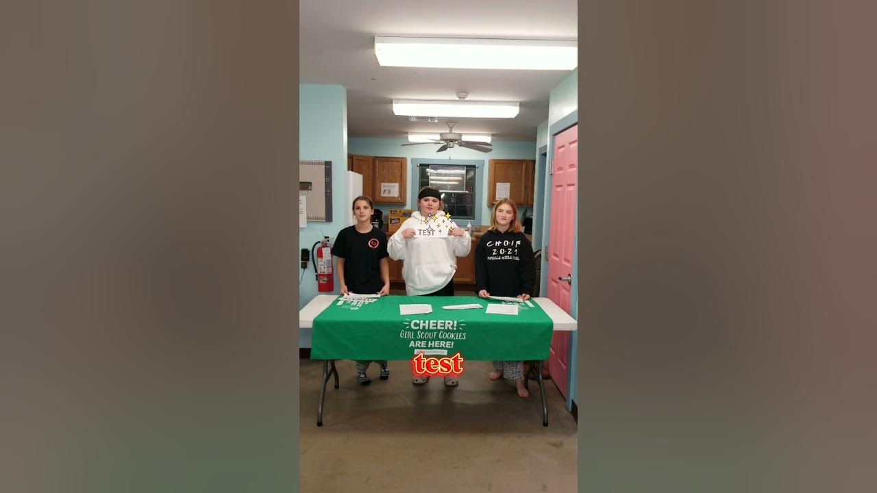 Engineering Design Process - Girl Scout Take Action Project, Cadette ...