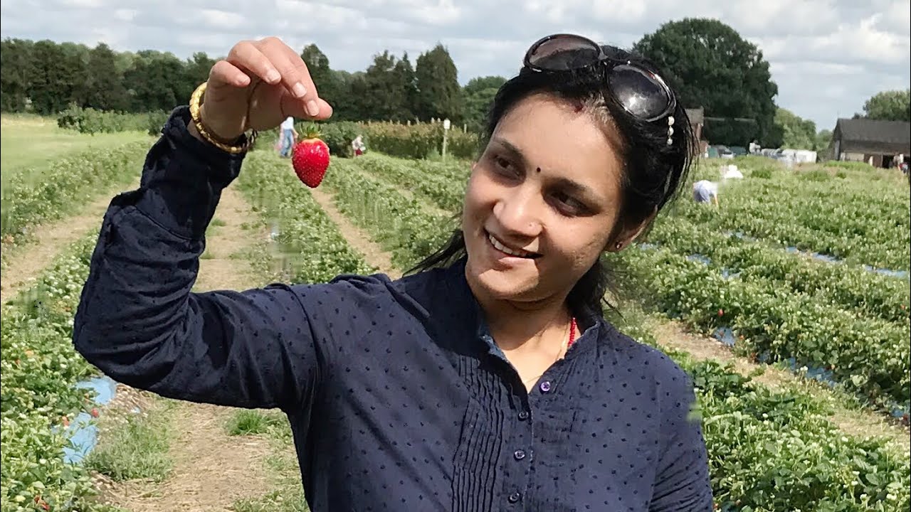 GRAYS FARM - YouTube