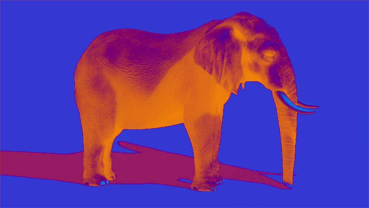 COCOBOY - Elephant (AUDIO) - YouTube