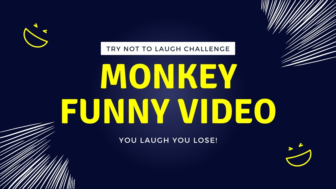 funny video//funny story//monkey funny video//prank with monkey//monkey ...