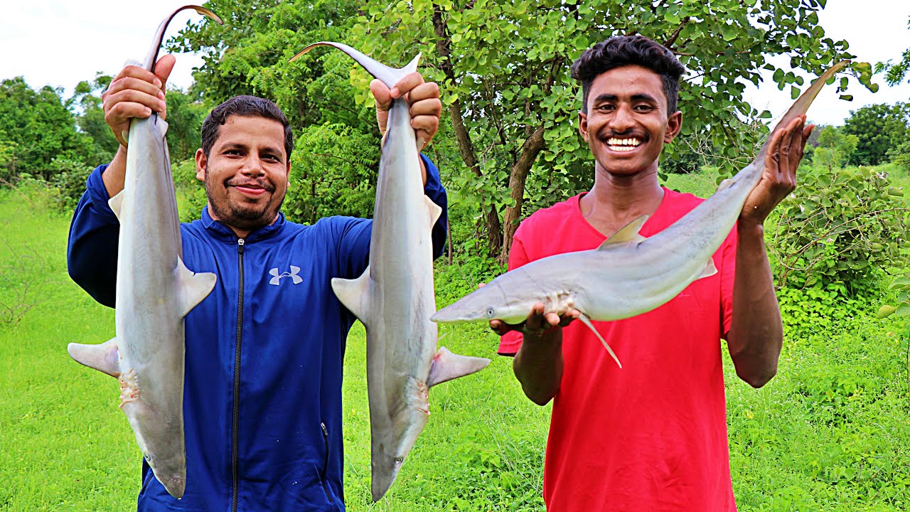3 SHARKS CLEAN AND COOK IN THE WILD | SHARK RECIPE | EGG BURJI STYLE ...