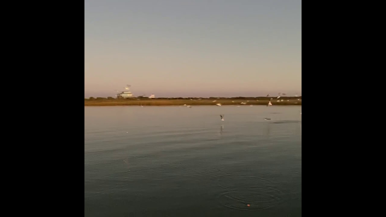 Always a fun time fishing at Beachside in Palacios, TX! - YouTube