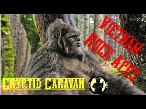 Vietnam Rock Apes -Cryptid Caravan #19 - YouTube