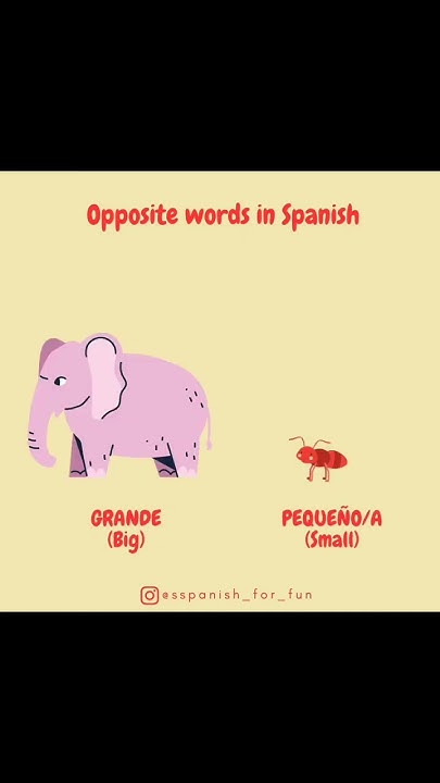 opposite words in Spanish - YouTube