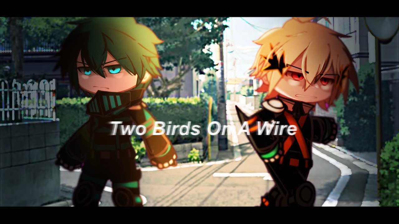 Two Birds On A Wire 🕊 || MHA || Dead Bakugo || - YouTube