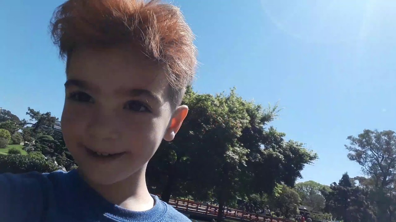 ME PINTE EL PELO [TOTO] - YouTube