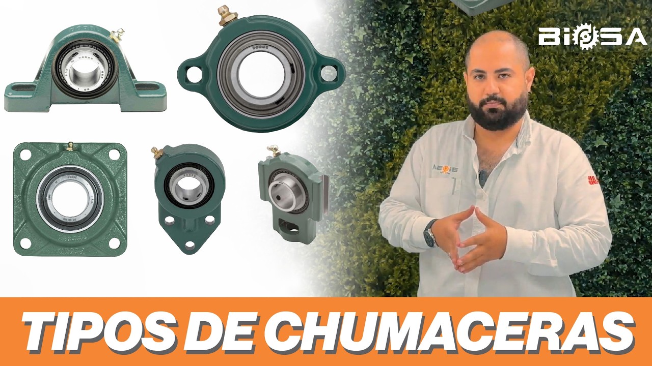 TIPOS de CHUMACERAS - BIOSATIPS #5 - YouTube
