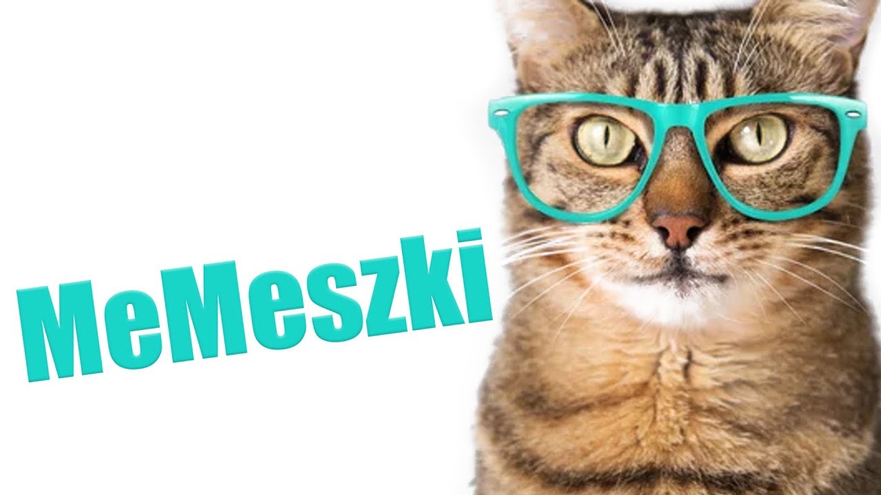 MeMeszki 2019 - YouTube