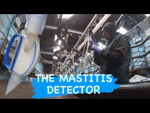 FITTING IN-LINE MASTITIS DETECTOR IN OUR ATL MILKING PARLOUR - YouTube