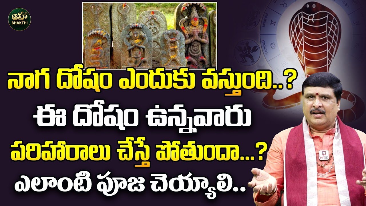 మీకు సర్పదోషం ఉందని తెలియజేసే సంకేతాలు ఇవే | Naga Dosham Pariharam ...