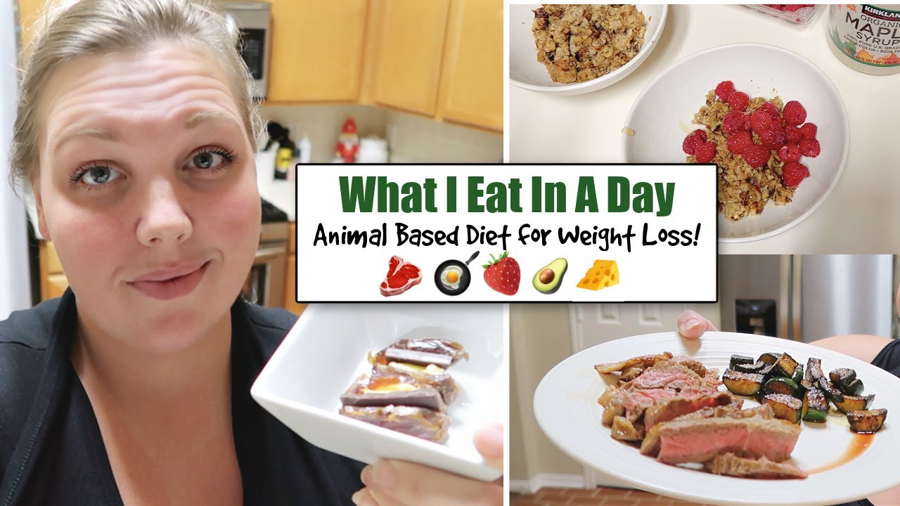 WHAT I EAT IN A DAY ANIMAL BASED DIET! Animal Based Diet for Weight ...