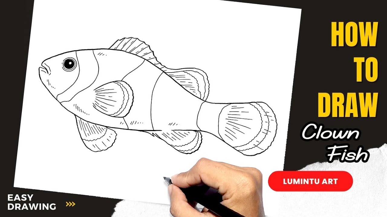 How to draw Clown Fish - YouTube