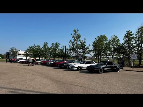Edmonton Mustang Social club and dark horses meet in red deer ...