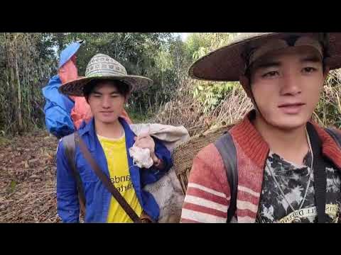 hnub no rov qab mu ntai pob kw dua nawb lo zem thiab sab heev li os - YouTube