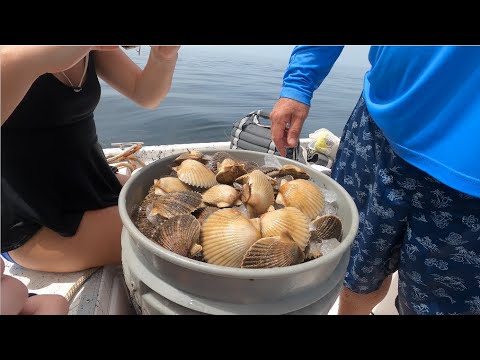 Scalloping out of Keaton Beach, June 27, 2020 - YouTube