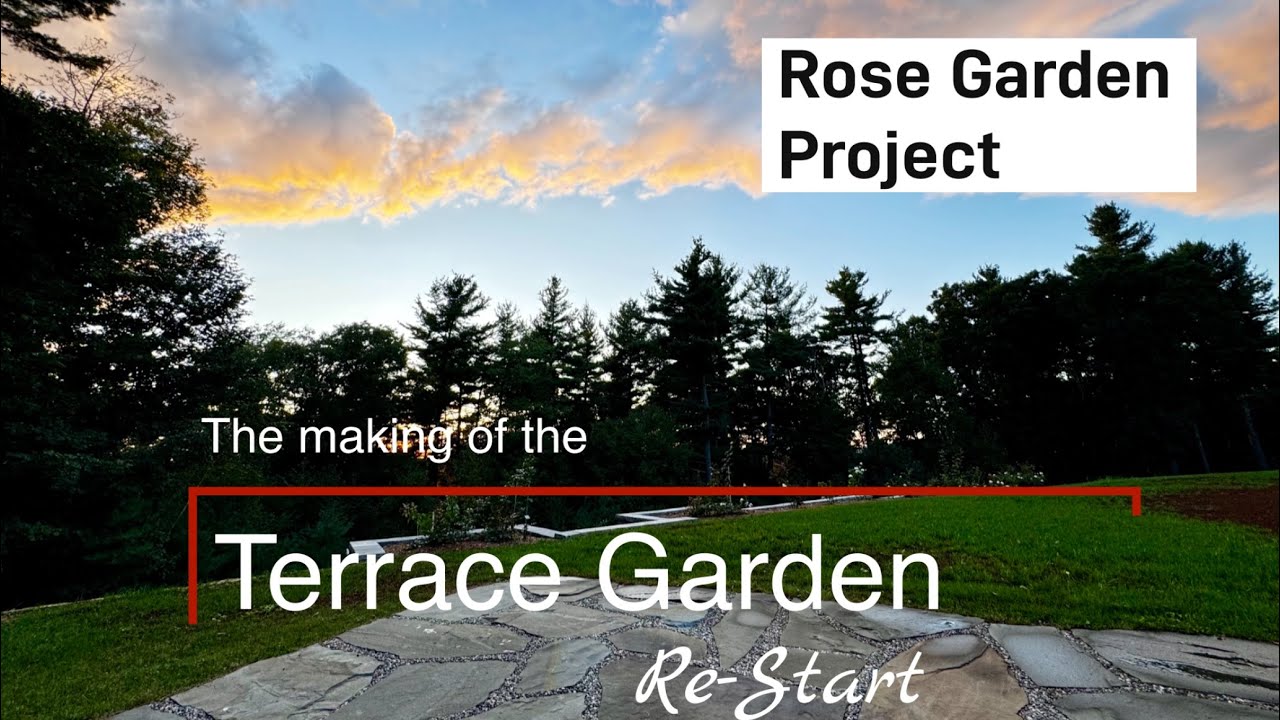 The making of the Terrace Rose Garden | Walking the Site - YouTube