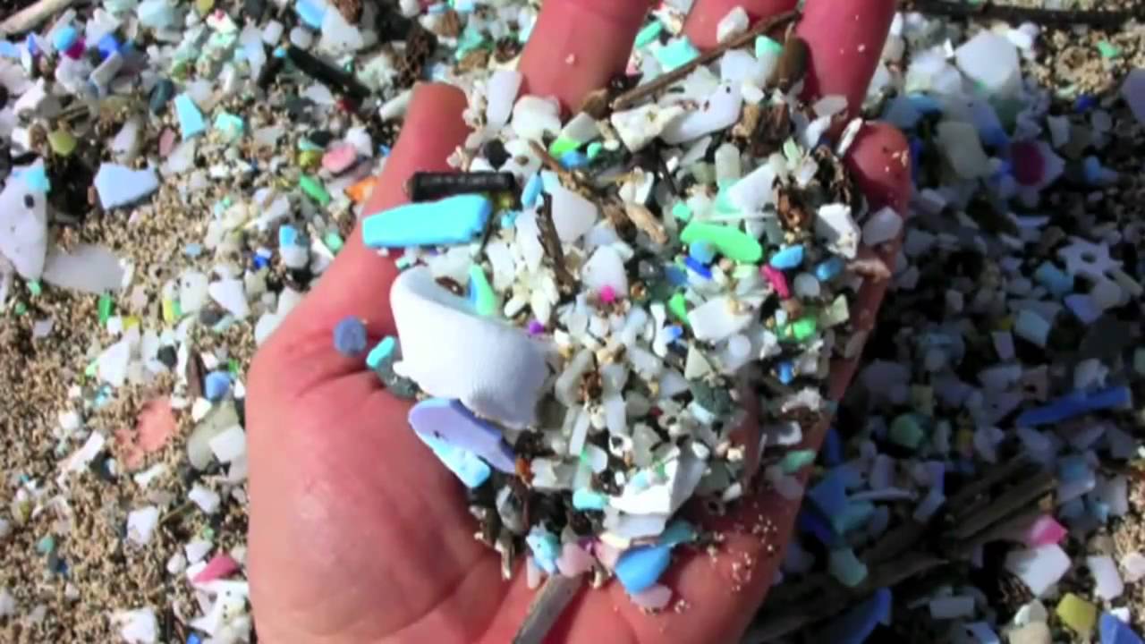 Plastic Trash in Oceans Enters Marine Food Chain - YouTube