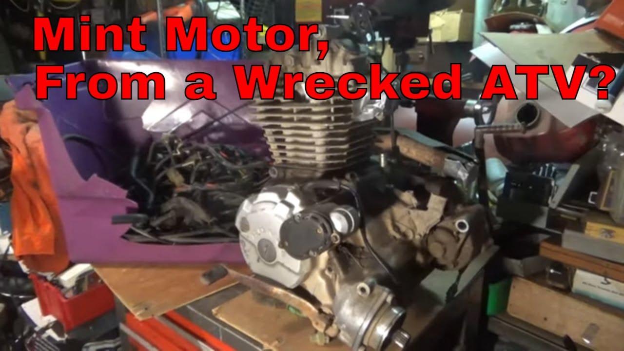 TRX250 Engine Salvaged From Wrecked ATV, Is It Mint? - YouTube