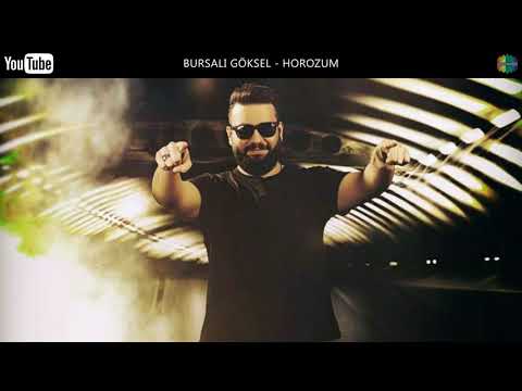 BURSALI GÖKSEL - HOROZUM ( ROMAN HAVASI )