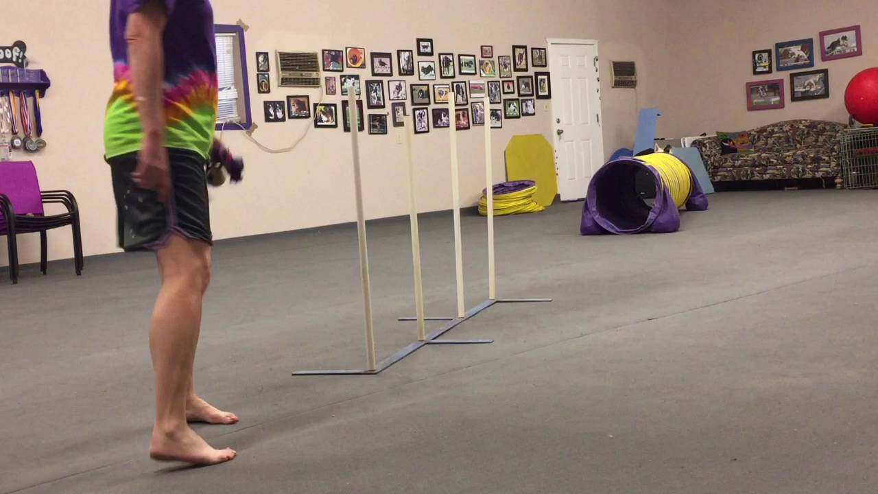 4 Pole Fun - YouTube