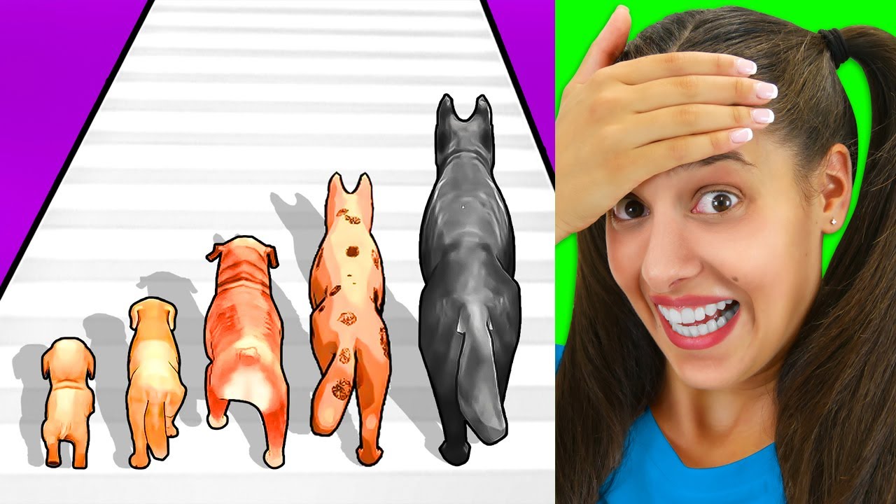 INGRANDISCI IL CANE PER VINCERE - DOG EVOLUTION RUN! - YouTube