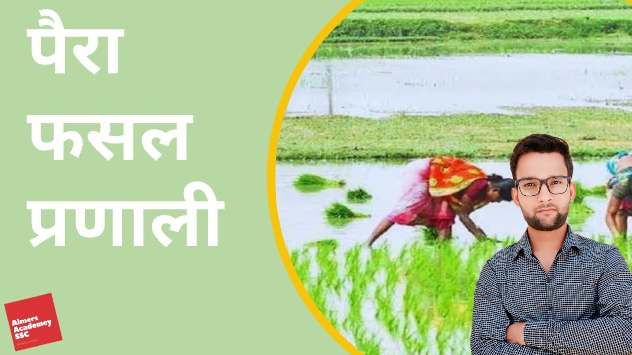 पैरा फसल प्रणाली (The Paira cropping system) #New #Viral #trending #ssc ...