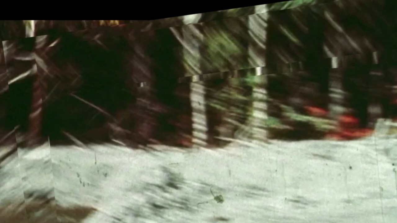 Patterson Film Bigfoot Sequence 2 Slow Stable Smooth - YouTube