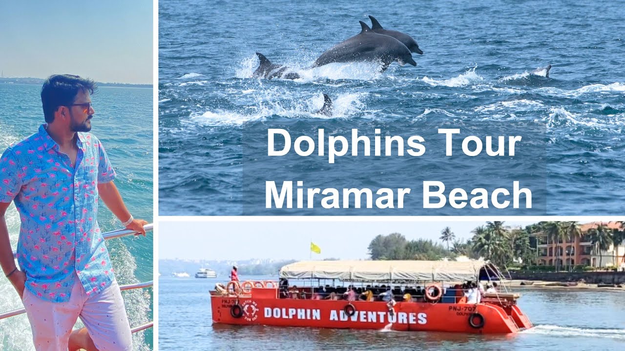 Miramar Beach Tourist Places | Dolphin Cruise in Goa | Dolphin Show ...