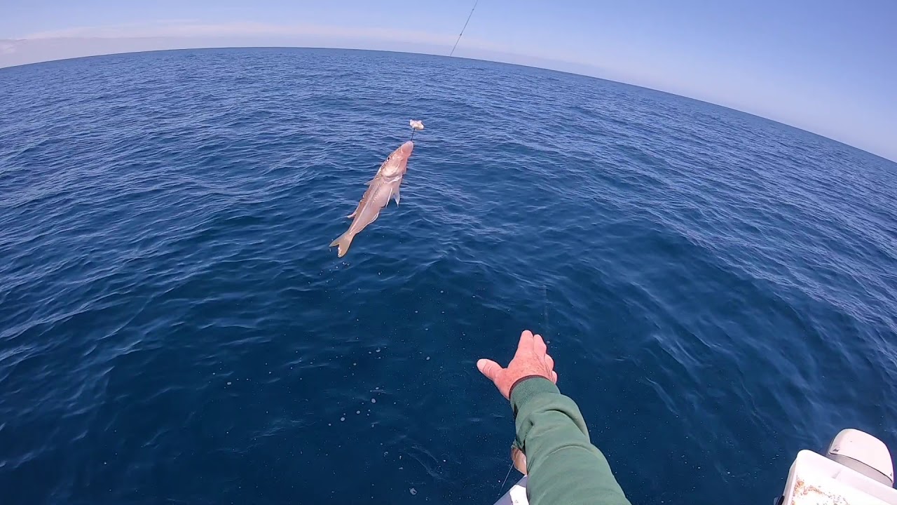 Drones dont take underwater footage who new? Whiting fishing off ...