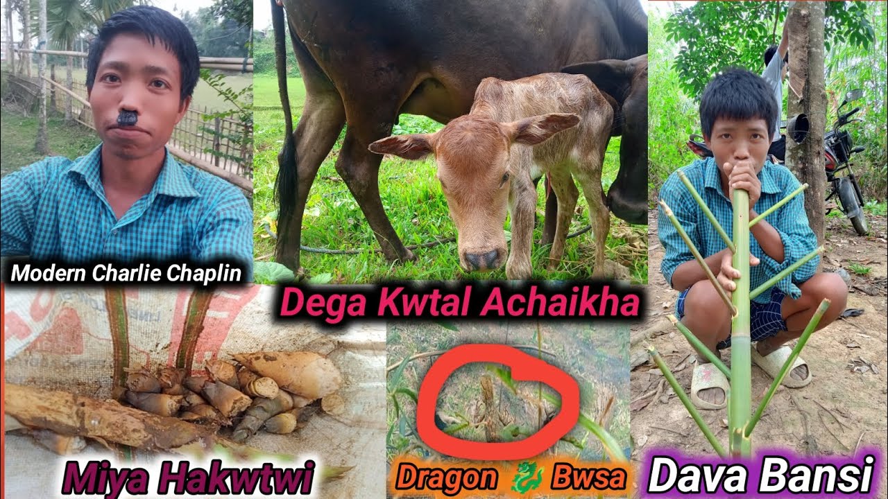 Taklaini Tini Miya Phailaimani || Bamboo Vegetable || #DaMwnahBlogs # ...