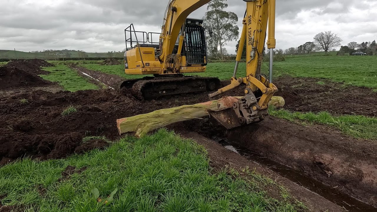 The Diggers Back & A Good Couple Of Days On The Calving Front | The ...