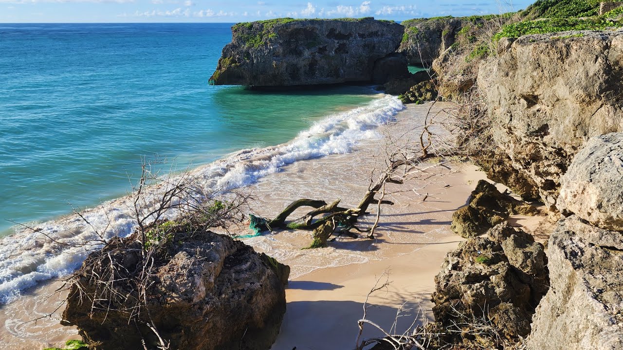 October 05, 2024 - Shanty aka Ginger Bay Beach with J (Barbados 4k ...