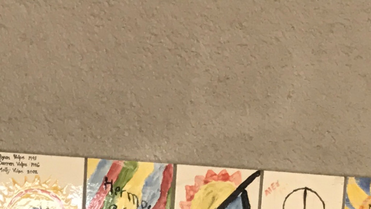 Rusty Live Stream - YouTube