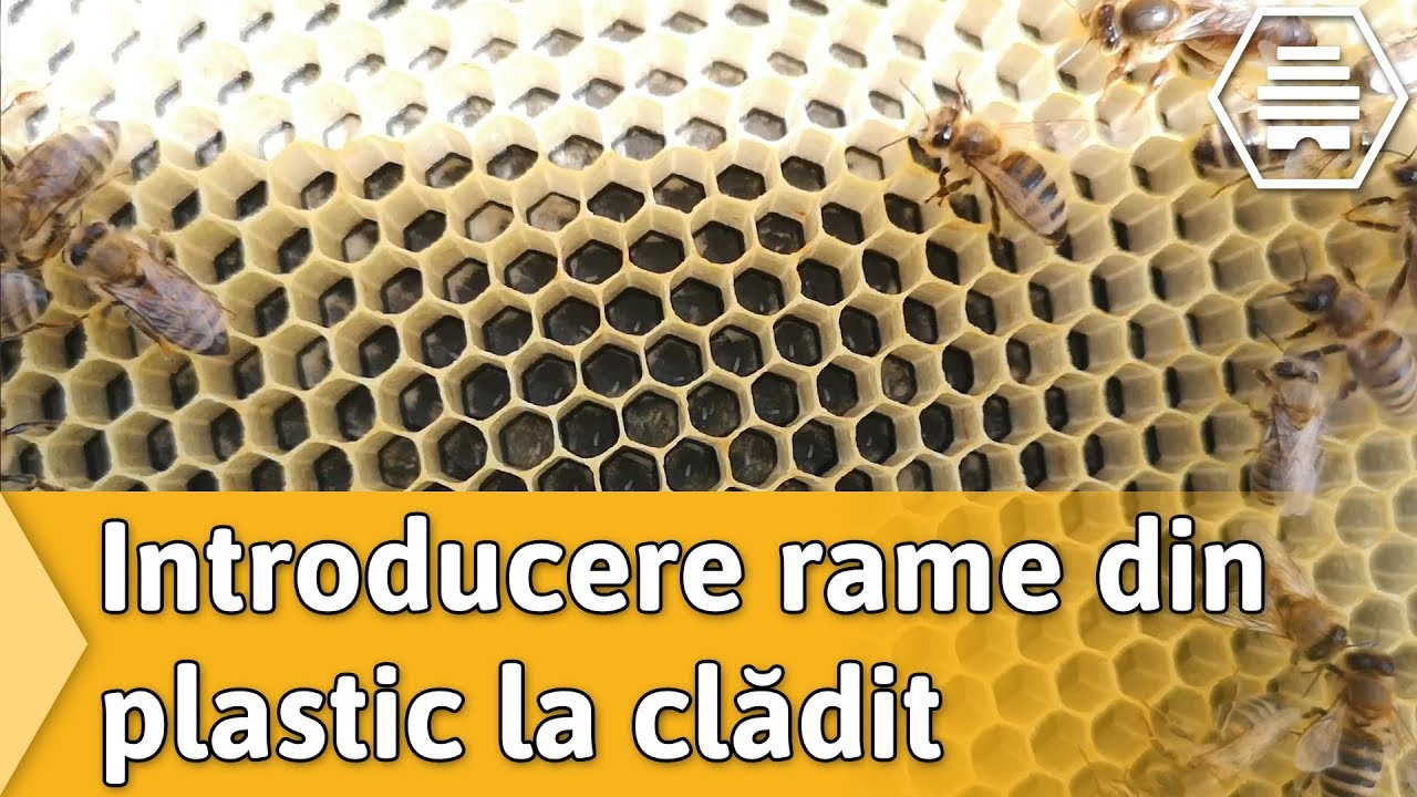 Introducere rame din plastic la clădit - YouTube