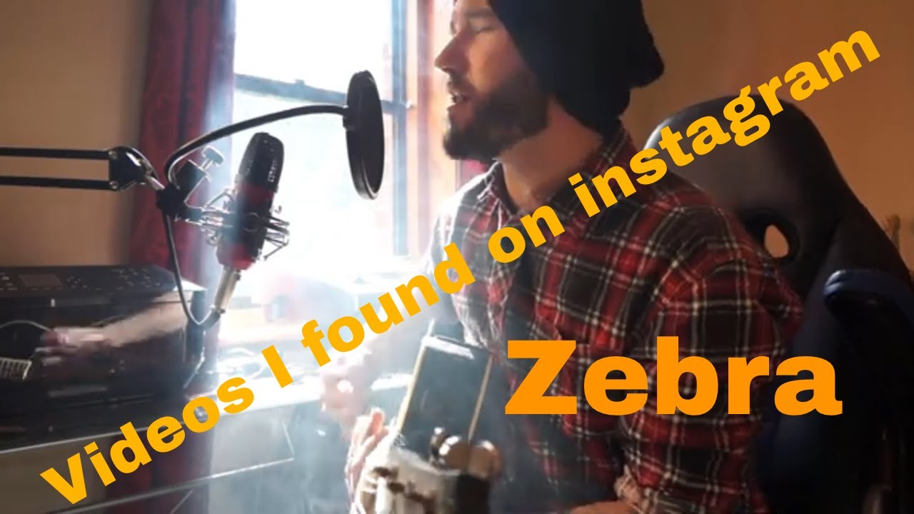 Zebra - John Butler Trio (Acoustic Cover) [Videos I found on instagram ...