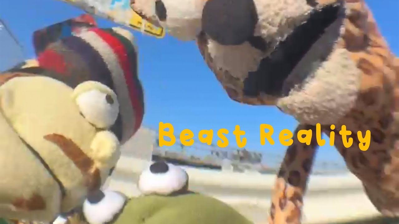 Beast Reality - ‘Beast Reality’ (full video) - YouTube