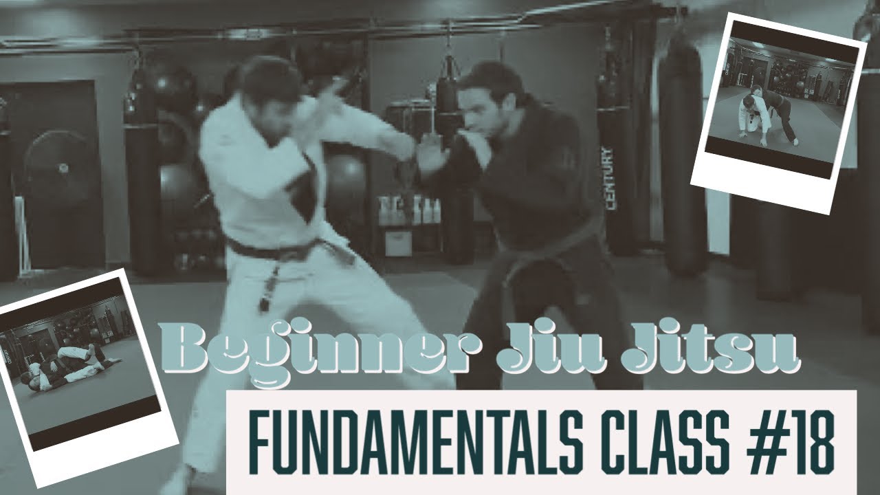 Jiu-Jitsu Fundamentals Class #18 - Side Kick, Catching Front Kicks ...
