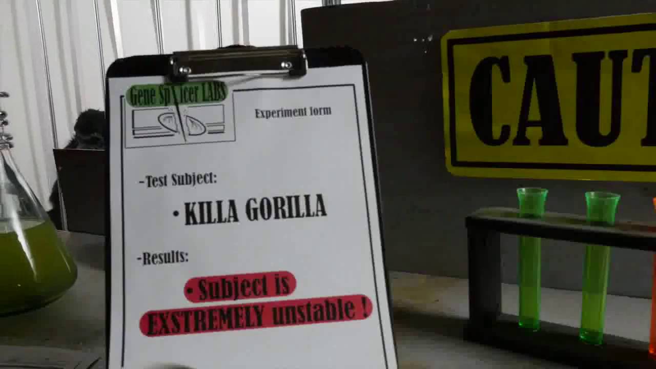 California Costumes Killa Gorilla Halloween Mask - YouTube