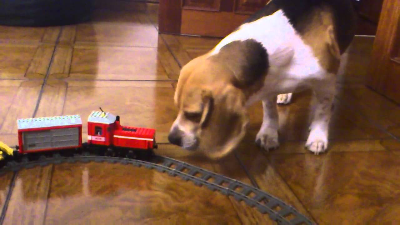 Lego 4563 - Load and Haul Railoard + Beagle - YouTube