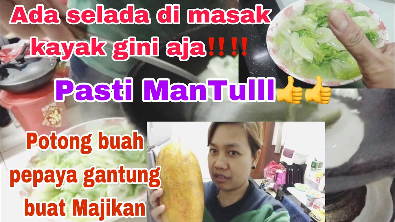 Kegiatan siang hari ini: Masak sayur selada, potong buah pepaya untuk ...