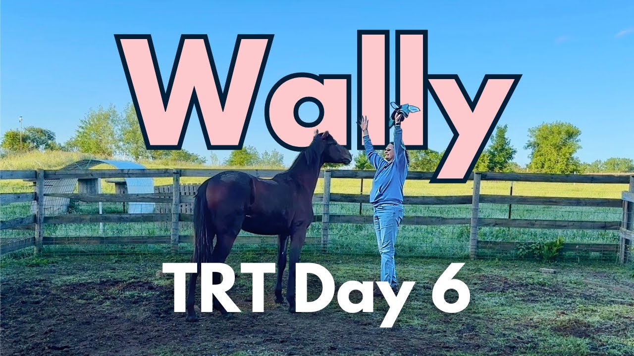 Wally Day 6 - TRT Method. Kinda with my own spin. - YouTube