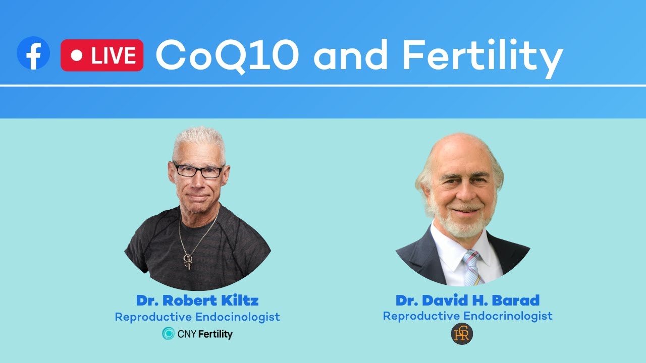 Dr. Kiltz and Dr. Barad - Special Live on CoQ10 and Fertility - YouTube