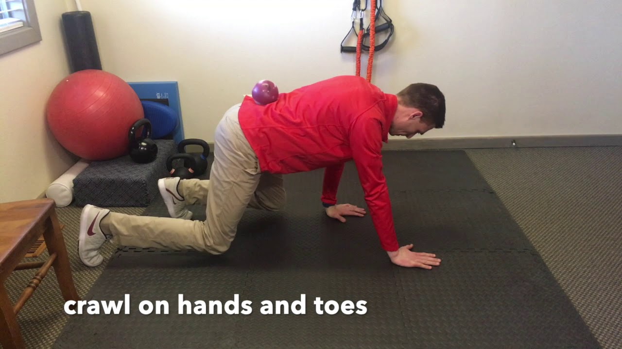 Low Back Bear Crawl Exercise - Provo Chiropractor - YouTube