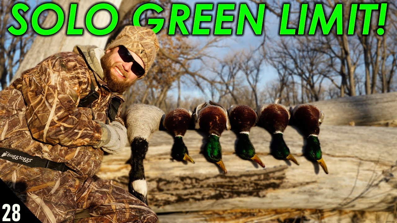 Cold Front Mallards | Duck Hunting 2019 - YouTube